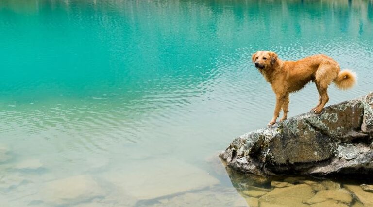 Everything You Need to Know About Hiking Humantay Lake Peru ...